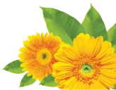 HDBank Giới thiệu Thẻ